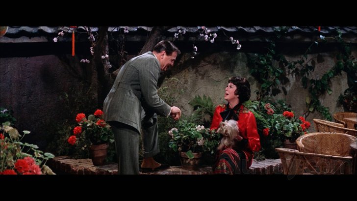 Gypsy Blu-ray (Warner Archive Collection)