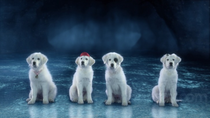 Santa Paws 2: The Santa Pups Blu-ray Release Date November 20, 2012 ...