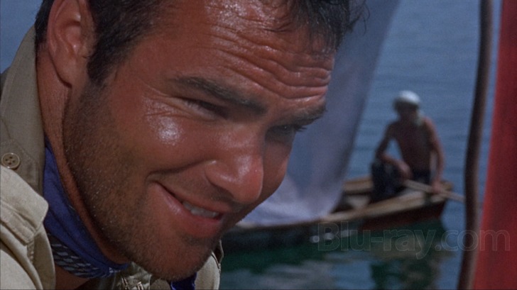 Shark! Blu-ray Release Date June 25, 2013 (Caine)