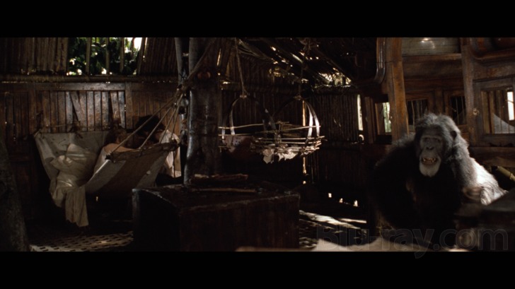 Greystoke: The Legend of Tarzan, Lord of the Apes Blu-ray (Warner ...