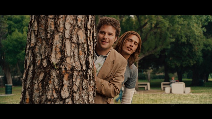 Pineapple Express Blu-ray (Mastered in 4K)