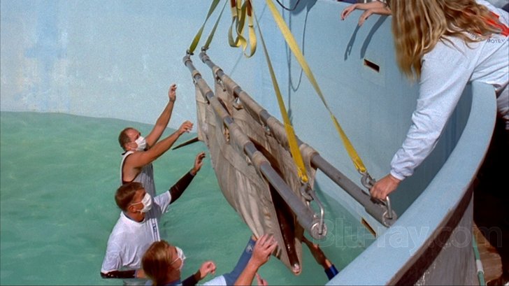 Dolphins Blu-ray (IMAX)