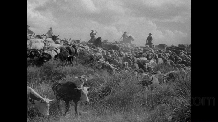 Red River Blu-ray (Masters of Cinema) (United Kingdom)