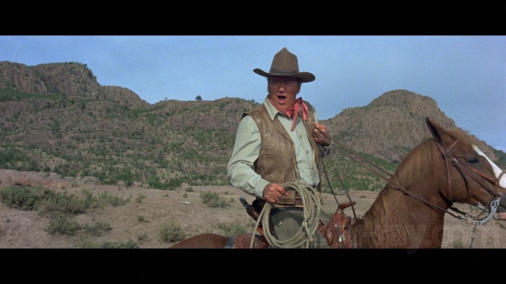 The Undefeated Blu-ray (Fox Studio Classics)