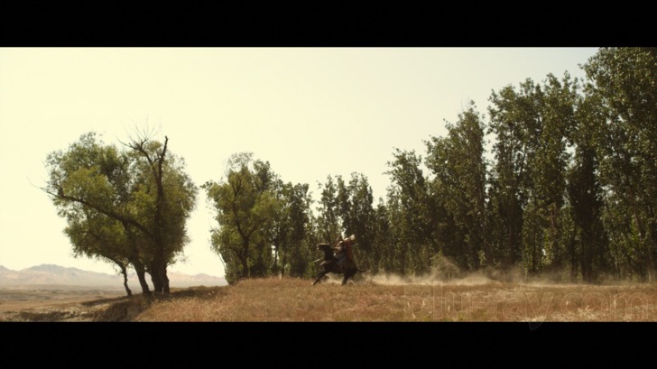 Saving General Yang Blu-ray (忠烈楊家將)