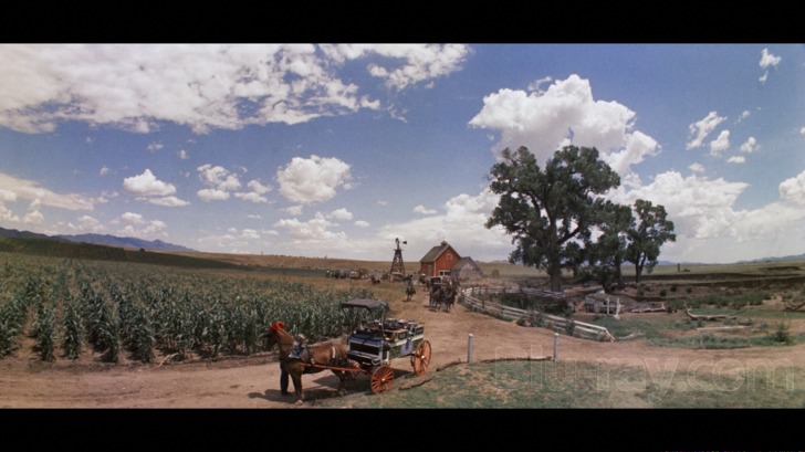 Oklahoma! Blu-ray (Blu-ray + DVD)